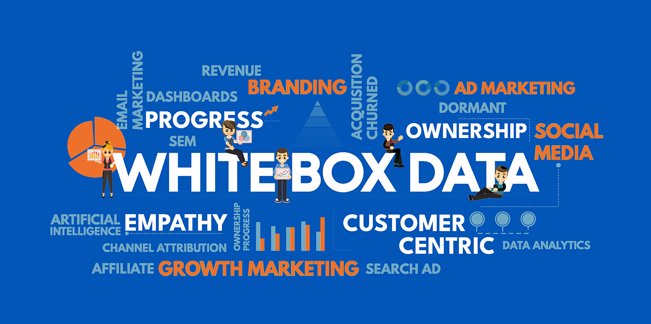 White Box Data - Data Analytics & Infrastructure